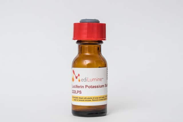 D-Luciferin Potassium Salt – Timagen 涂风